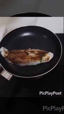 Salmon and dolly fish steak with black pepper.