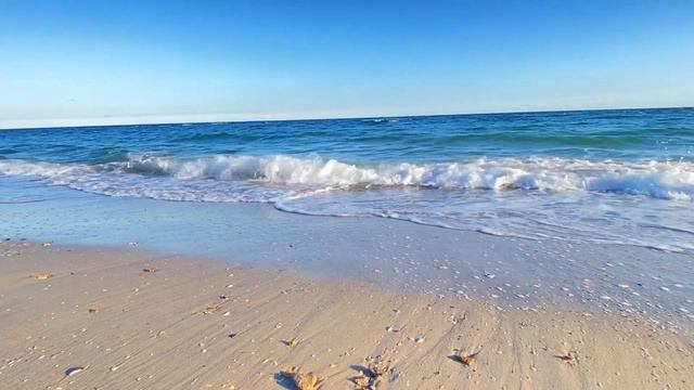 Шум волн, звук моря, Видео пляжа 1 час 🌊 Утро на берегу моря