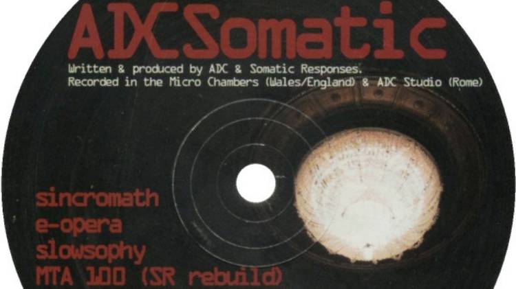 ADCSomatic Responses – Sincromath