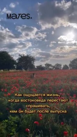 Как ощущается жизнь, когда востоковеда перестают спращивать, кем он будет после выпуска