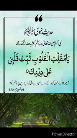 ya muqallib al quloob thabbit qalbi ala deenik | #shorts #islamic #islam #shortvideo