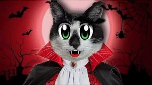 песня кот вампир