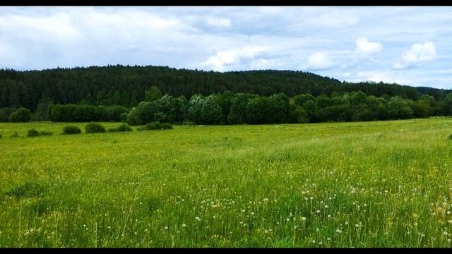 Вольга и Микула  Былина  #русскийфольклор