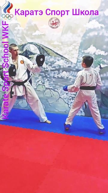 Каратэ Спорт Школа ДДС