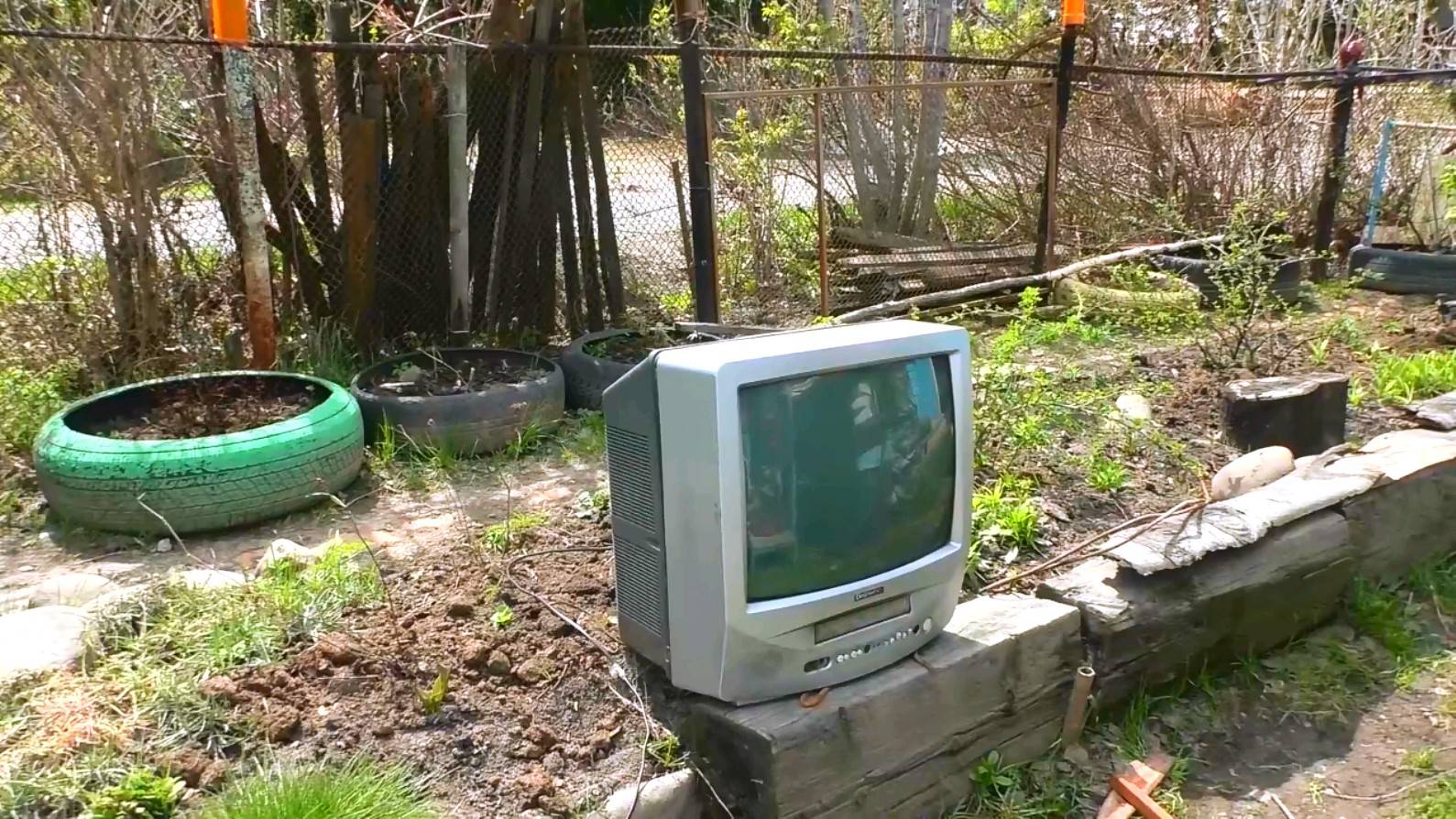 Эпизоды дачной жизни