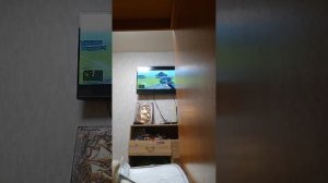 играем в фар край 4