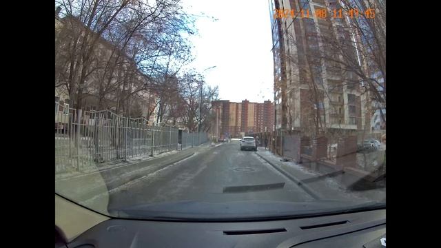 Белка переходит дорогу)