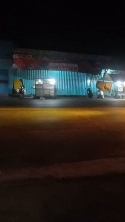 mesin golden dragon/Dongfeng - bus PO Akas ll #short #pecintabis #busjatim #
