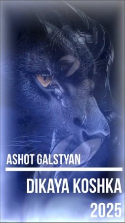 ASHOT GALSTYAN - Дикая Кошка 2025 #Remix #ashot #galstyan  #music #2025 #new