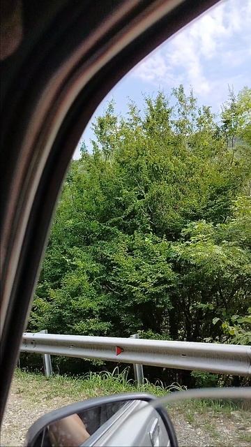 Серпантин по дороге на море 7.08.2024