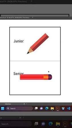 Beginner vs Senior graphic designer