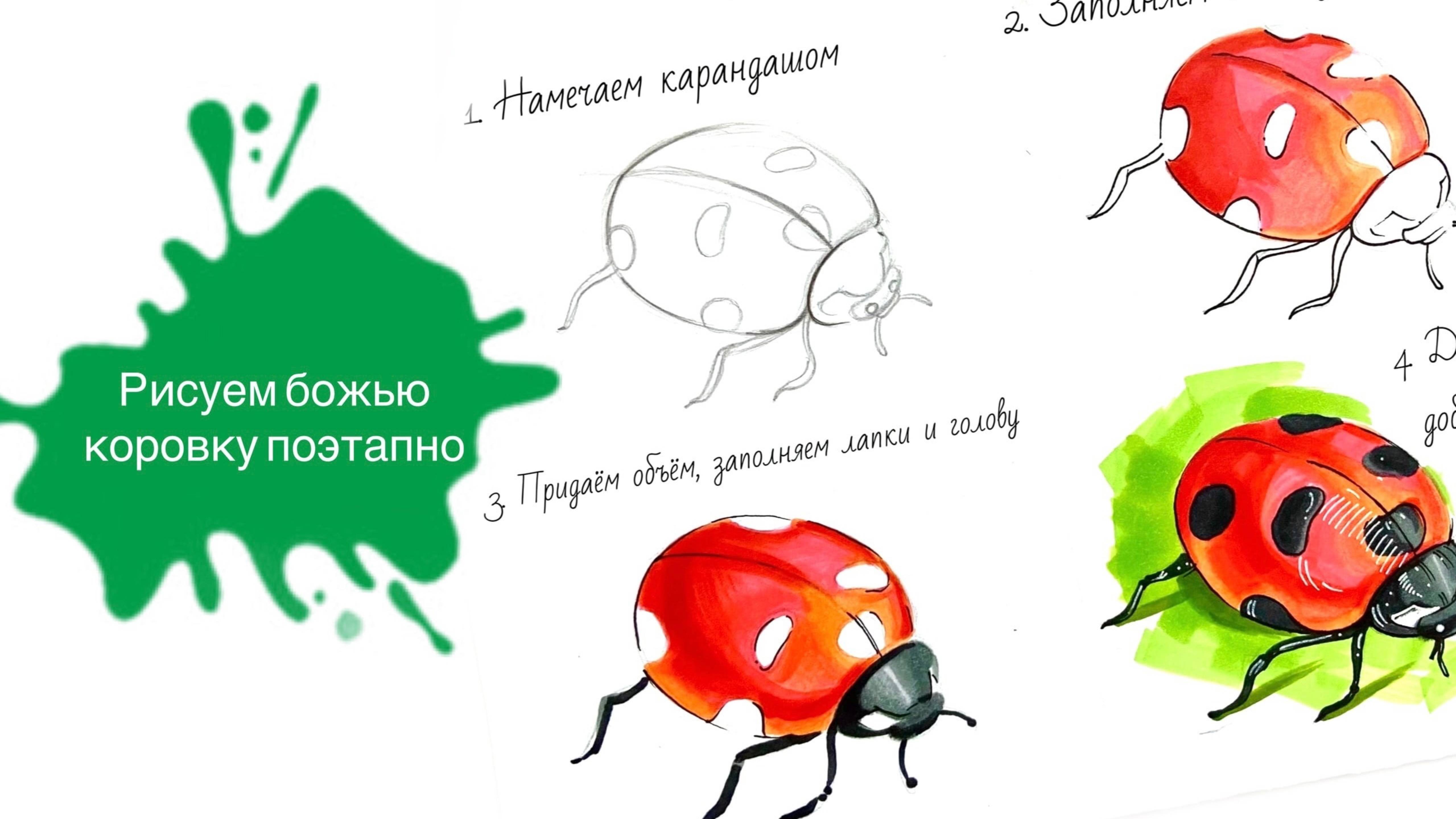 Рисуем Божью Коровку Поэтапно! Рисунок спиртовыми маркерами для начинающих 🐞