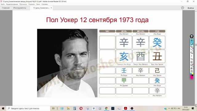 13 урок_Цветок персика в бацзы