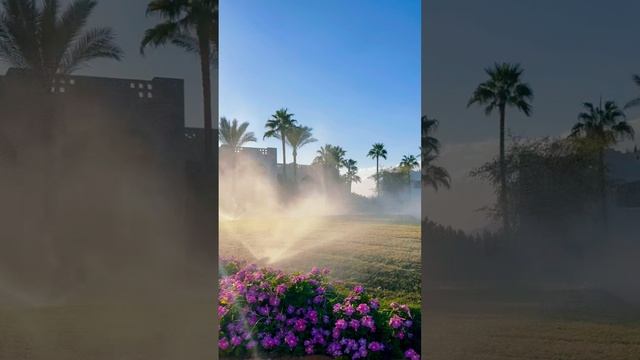 Наш отпуск в Египте. Ноябрь 2024