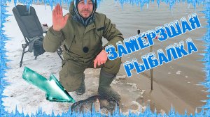 Эта рыбалка стоила много здоровья! Первая фидерная рыбалка 2025 зимой. Еле уговорил рыбу клевать