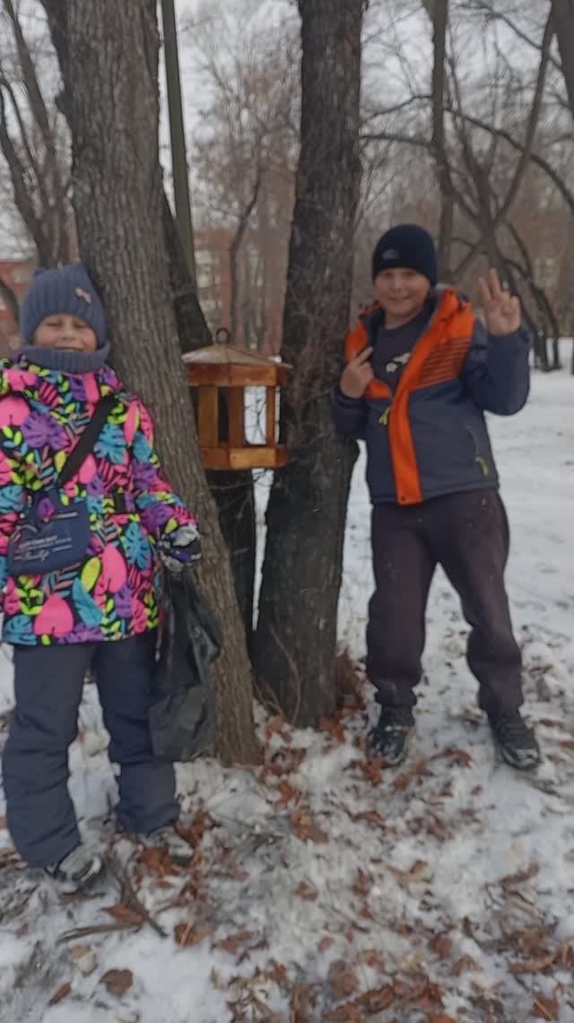 Кормим синичек!