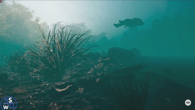 New Dawn: На пути в Хоуп!
