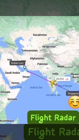 Flight Radar Video-4
