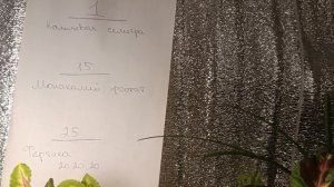 Прищипка рассады.