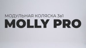 Коляска 3 в 1 для новорожденных Farfello Molly Pro