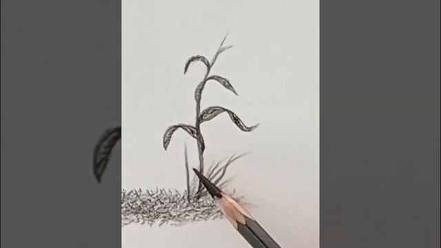 Реалистичный базовый рисунок травы | Realistic Grass basic drawing