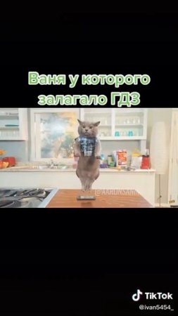 Захожу в школу а там