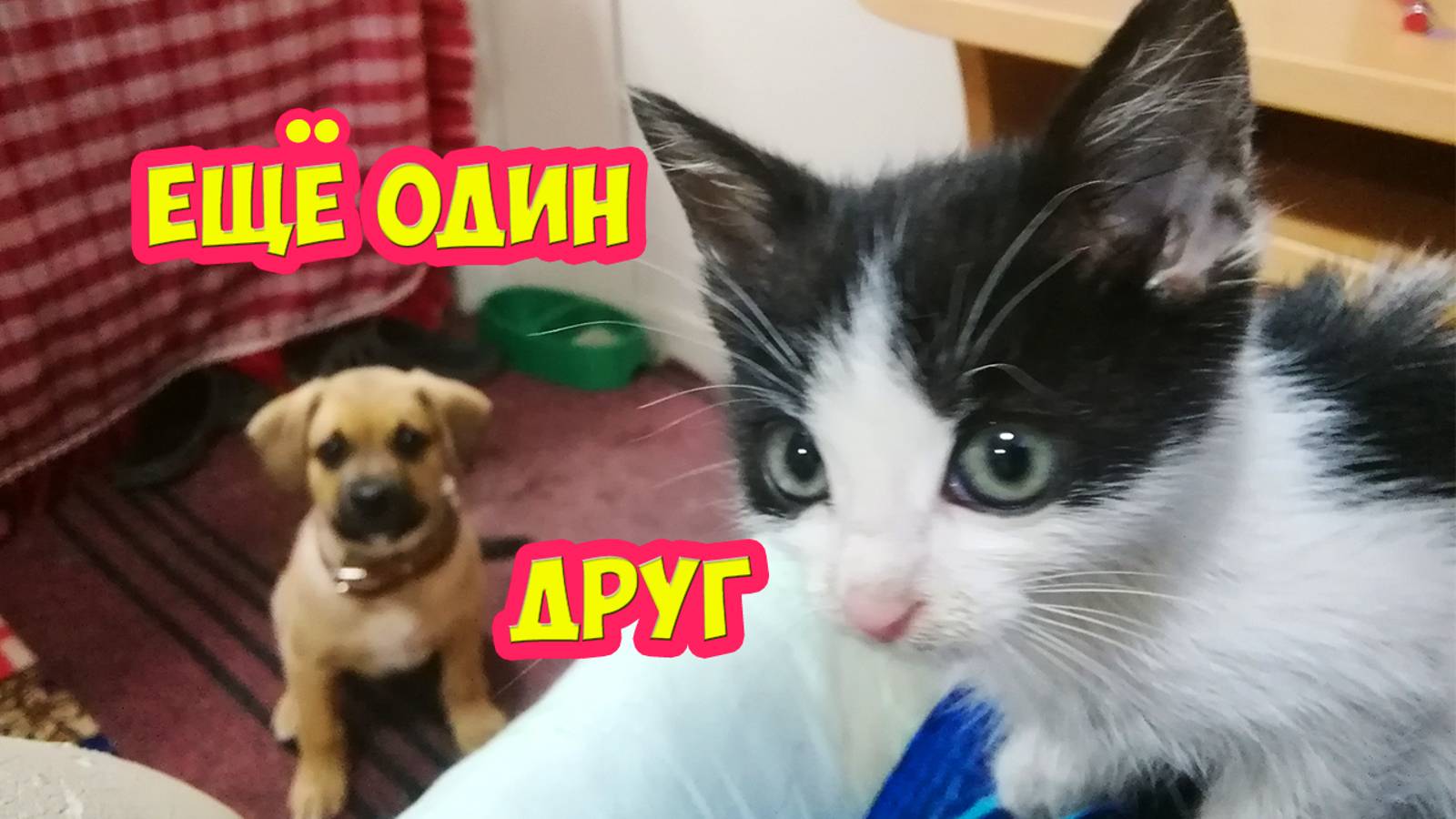 Где то на земле есть кусочек счастья