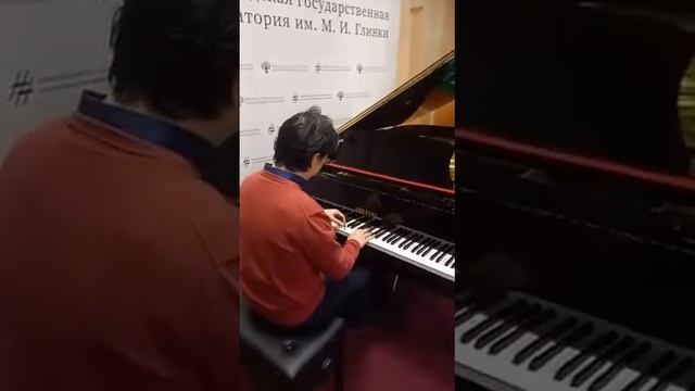 Игра на рояле АМЕДЕУС L215