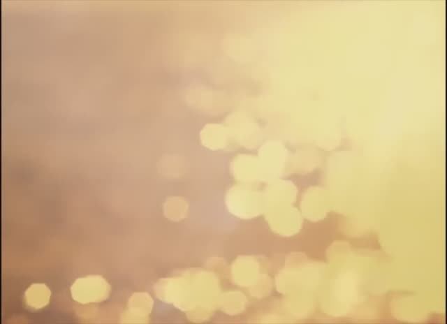 Агенда. Опыты Матери. 3 февраля 1958 года. Супраментальный корабль