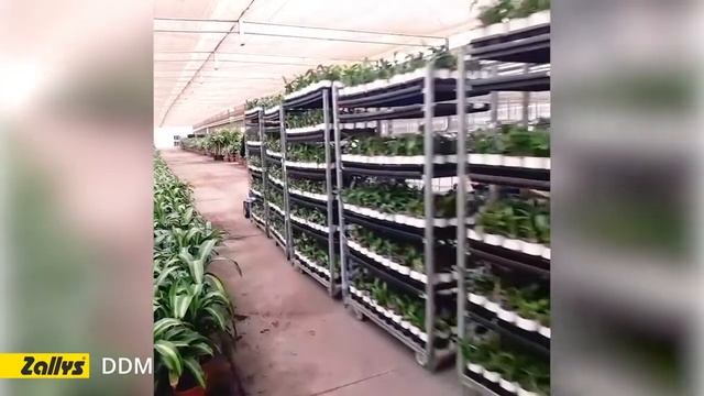 Zallys K3 - трехколесный электроскутер с местом для оператора.