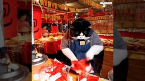 Котики работают на рынке