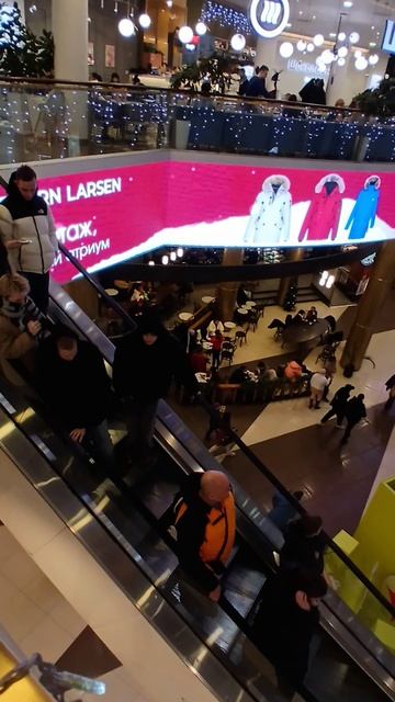 лысый дядька.Питер