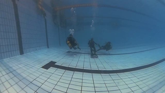 Курс PADI Fins Specialist 25 -26 января 2025