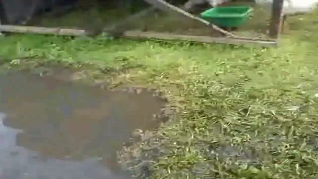 Водоем для гусей своими руками 2 часть