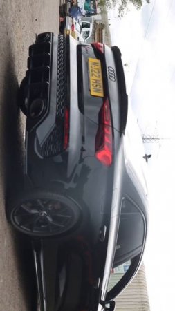 2022 AUDI RS3 OPF & CAT Delete #freefire #audi #rs3 #viral #fyp #reels #viral #cars #exhaust