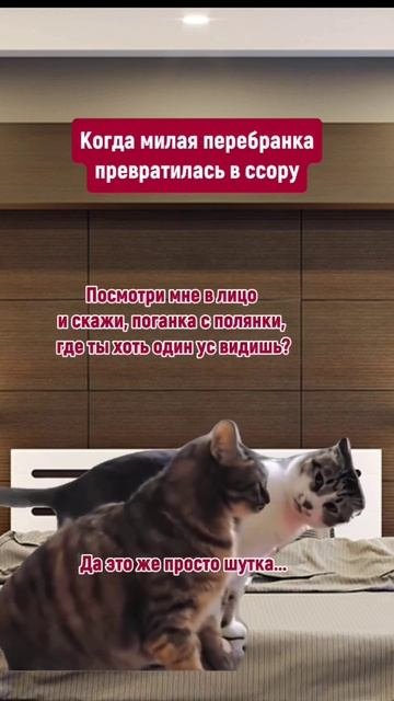 название придумаю потом 8