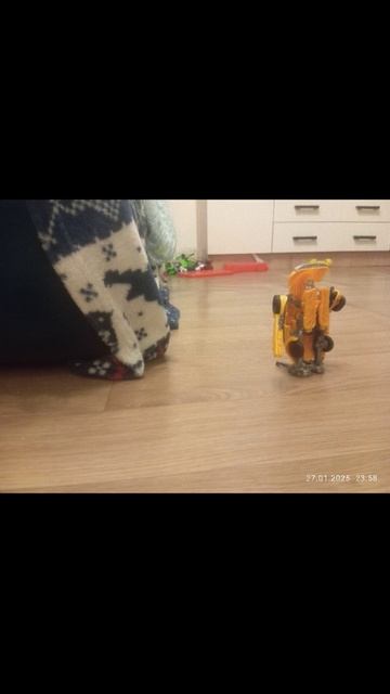 1000008967.mp4