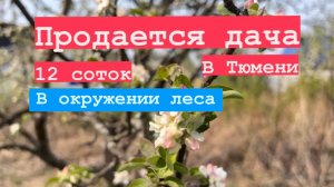 Дача в Тюмени в окружении леса. 12 соток с домиком и всего за 1 700 т. р.!👍🔥