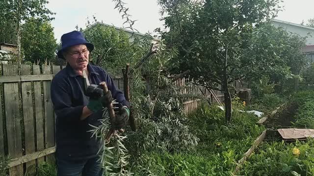 Сучкорез на аккумах.