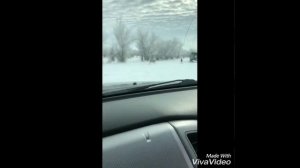 Тазы ит