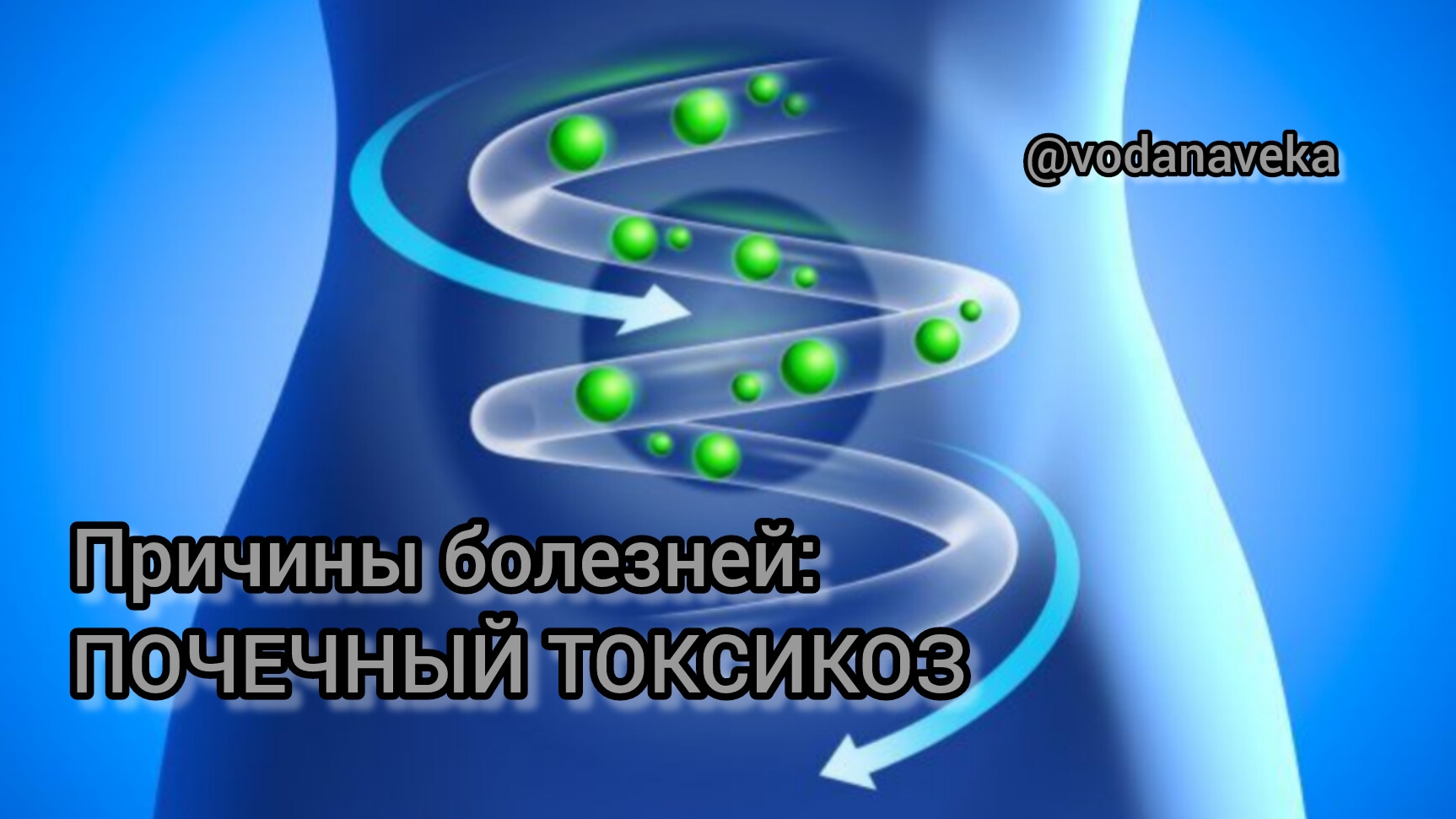Причины болезней. Почечный токсикоз. "Технология Coral Detox". О.В.Похомутникова