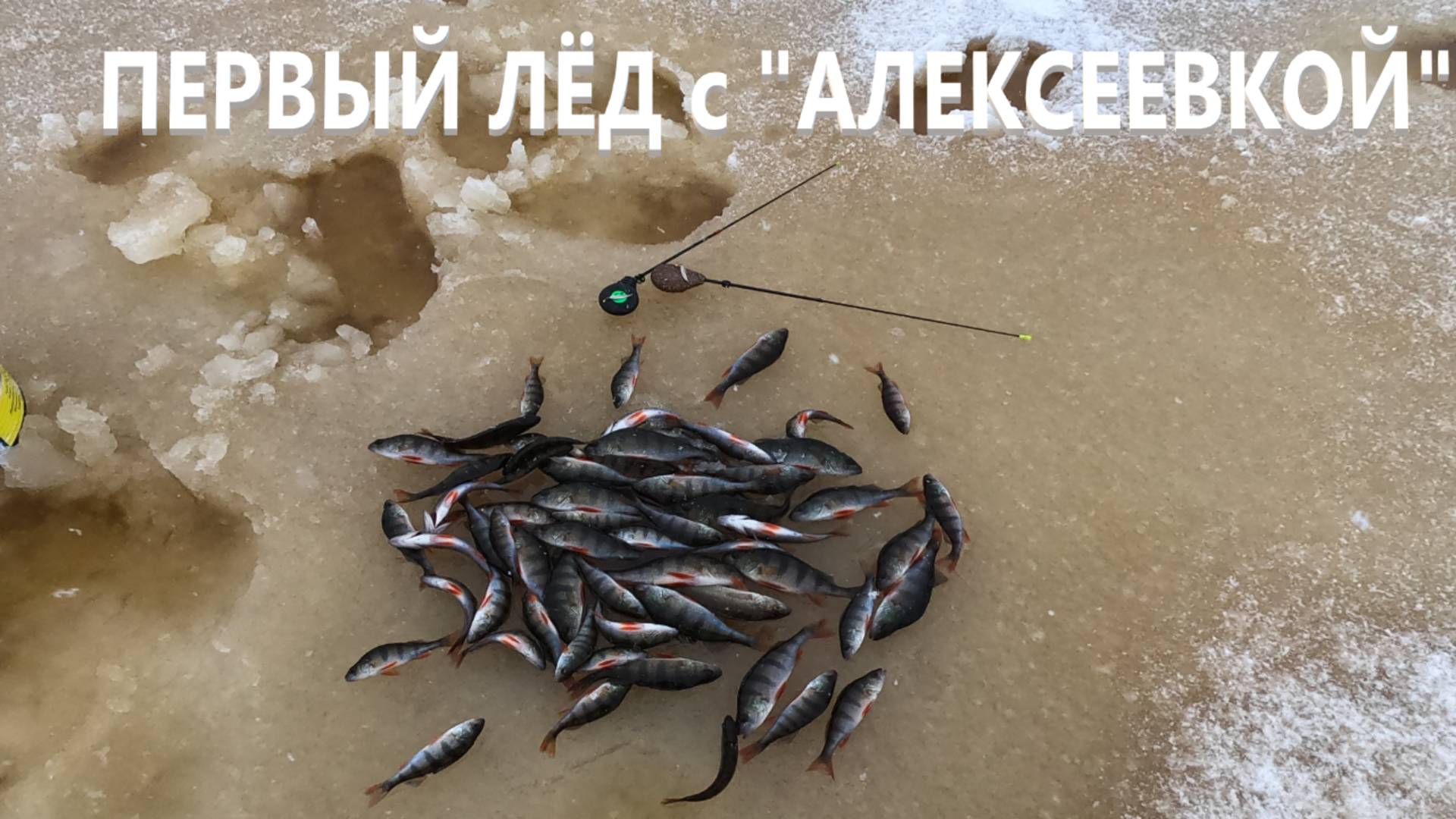 Первый лёд с зимней блесной "Алексеевка 27мм". Ловля окуня на зимнюю блесну.
