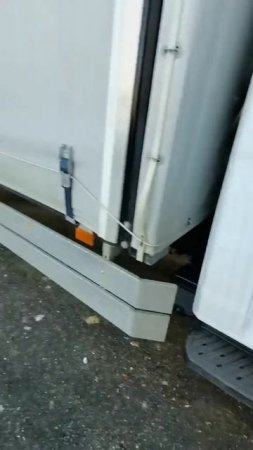 Газон Некст
