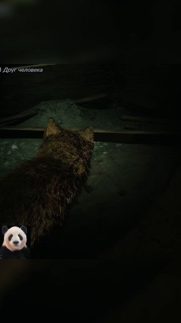 волчек и сосиски #untildawn #shorts