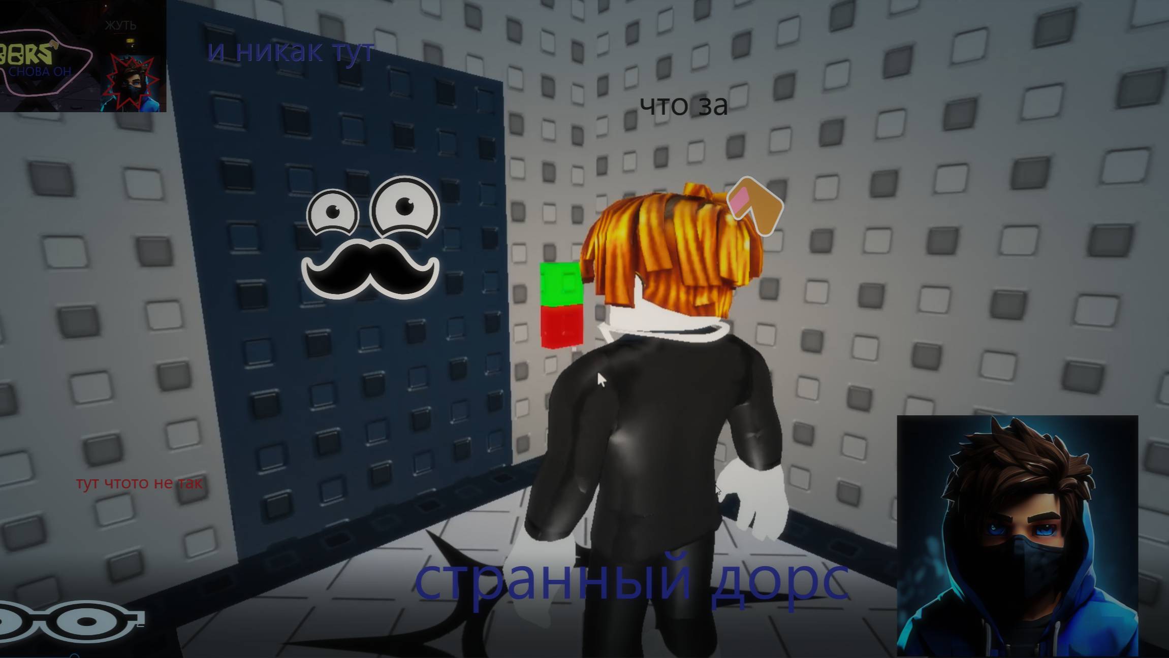 непонятный доорс Roblox