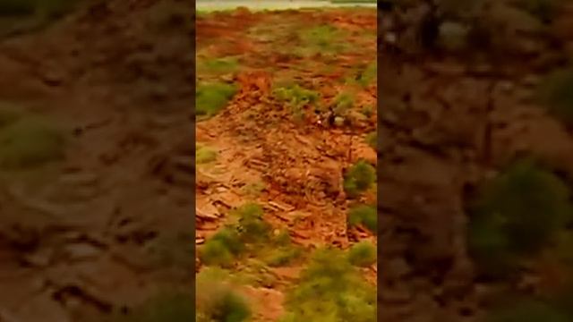 Robert Irwin é um palhaço, não um guerreiro 3