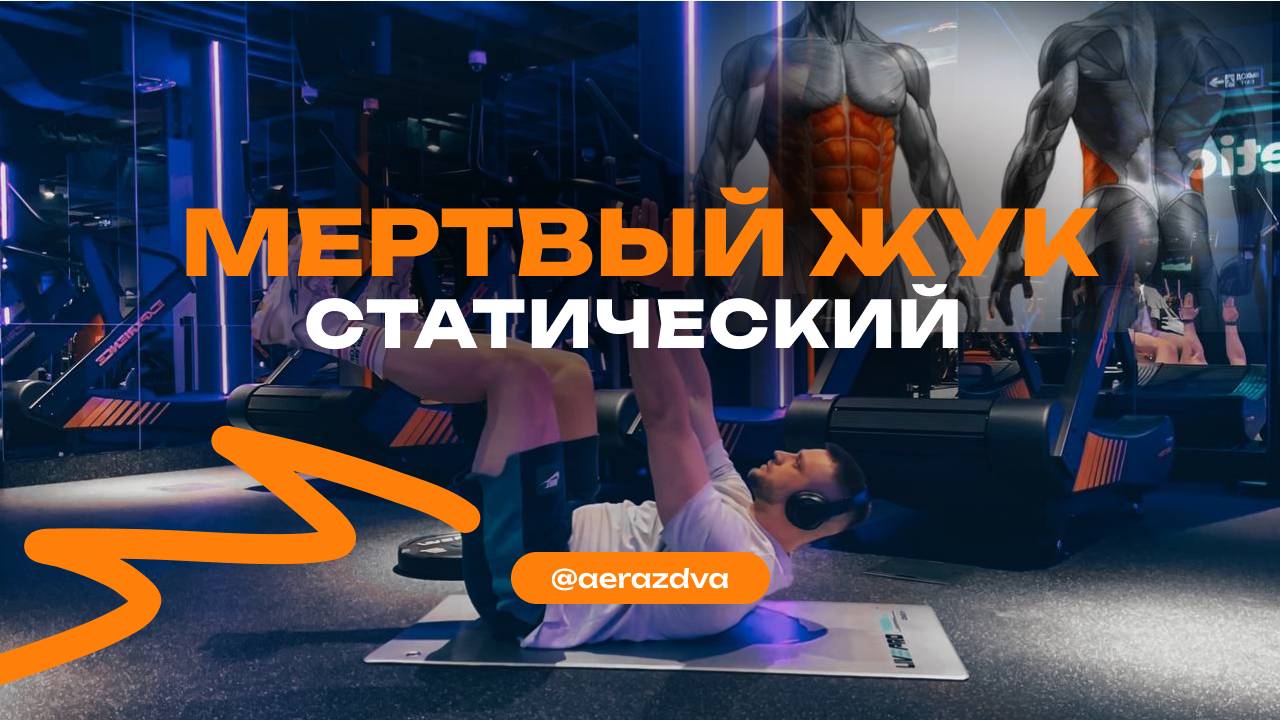 Мертвый жук статический