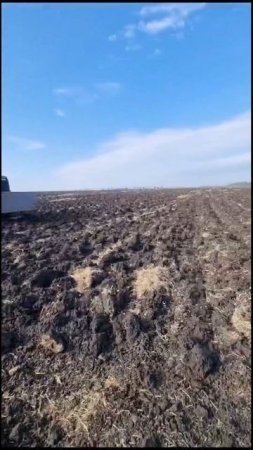 БШ TIREX Беларусь  зубовая шлейф борона #сельскоехозяйство #farming