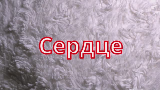 Сердце