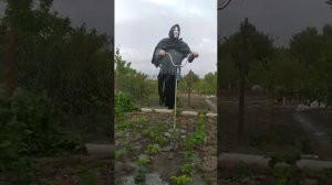 Чучила
